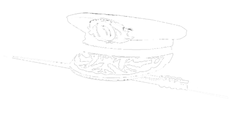 Intendência - Exército Brasileiro